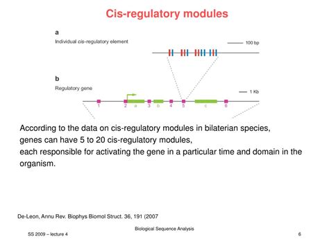 Ppt V4 Full Understanding Of Gene Transcription Gene Regulatory Networks Powerpoint