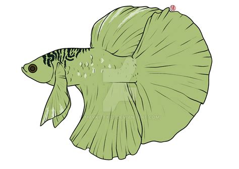 Beta Fish Adopt By Markitty09 On Deviantart