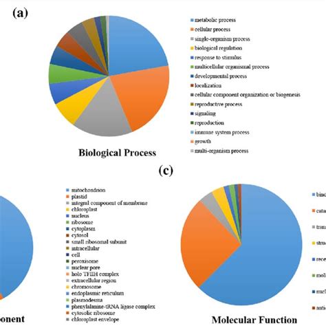 Next Generation Sequencing Platforms Commonly Used For Sequencing Download Table