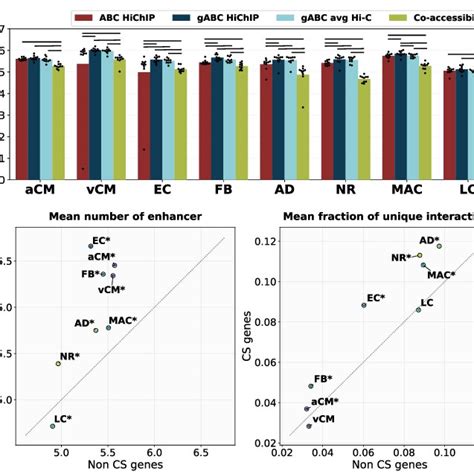 Enhancer Gene Interactions Called In Single Cell Heart Data A Schema