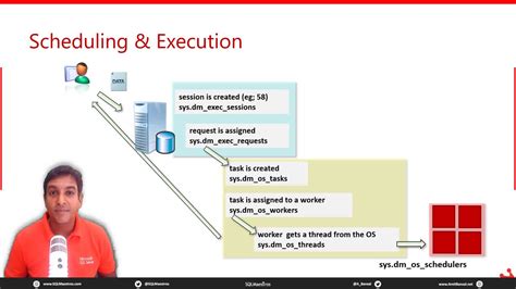 Sqlmaestros On Linkedin Sqlserver