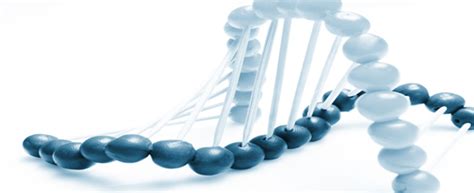 Rna Sequencing Services Comparison Lc Sciences Technologies For Genomics And Proteomics