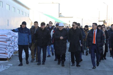 Дотоодын үйлдвэрлэлээ хамгаалах хамгийн гол механизм нь импортын татварыг нэмэх явдал юм