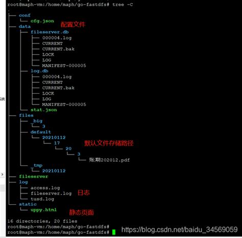 Linux部署go Fastdfs和go Fastdfs Web管理端fastdfs 可以和go Fast Web后台管理系统搭配吗 Csdn博客