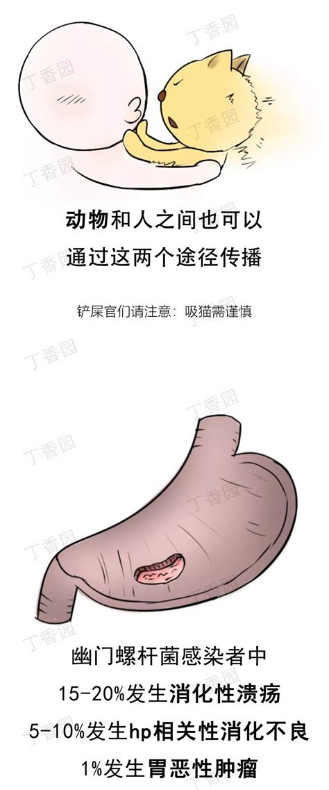 幽门螺杆菌阳性究竟要不要治疗 丁香园