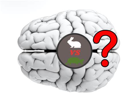Can Brain Technology Increase Mental Processing Speed Cristina Gil