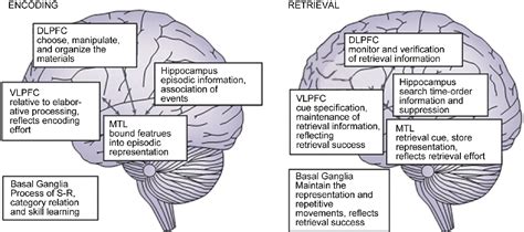 Memory Encoding Storage Retrieval