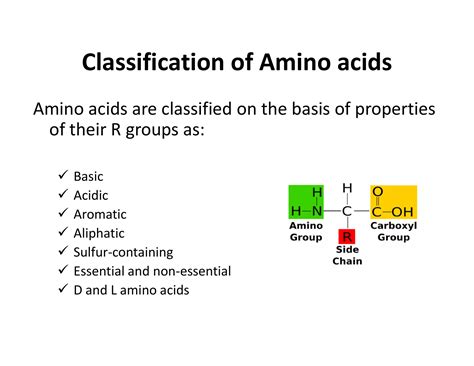 Proteins And Amino Acid Classification Structure Functions Physicochemical Properties
