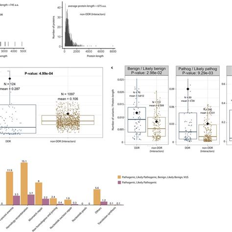 Accumulation Of Germline And Recurrent Somatic Variants In Ddr And Download Scientific Diagram
