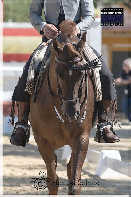 Doma Vaquera Feria Del Caballo 2024
