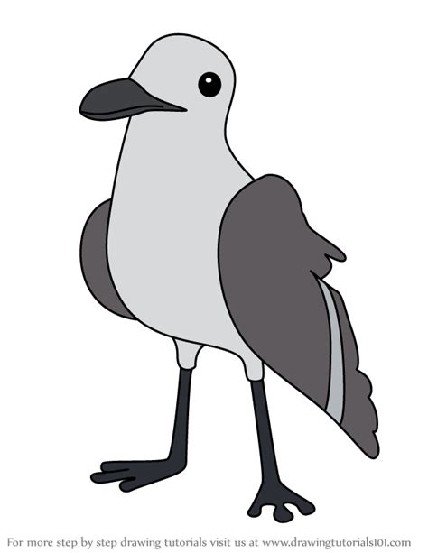 How To Draw Boda From Octonauts Octonauts Step By Step