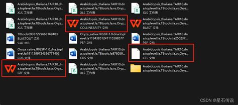 实验篇——基因组共线性分析 Ew帮帮网