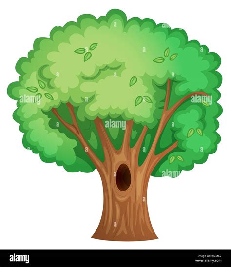 Object Single Isolated Model Design Project Concept Plan Draft Tree Stock Photo Alamy