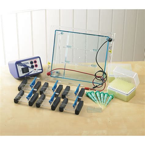 Gel Electrophoresis Kit Amazon At Justin Finn Blog
