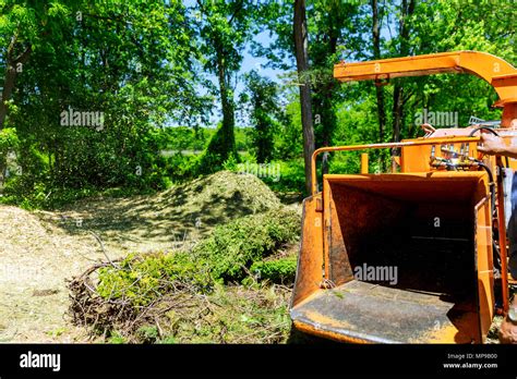 Wood Chipper And Shredder Machine Blowing Tree Branches Cut Stock Photo