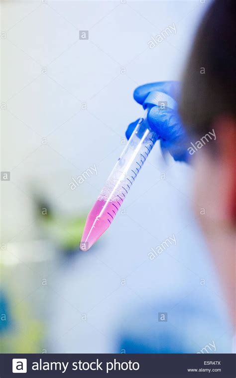 Stem Cells Research Laboratory Stock Photo Alamy