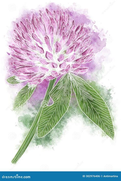 Clover Flower Illustration Black And White Ink Floral Drawing Coloring Book For Adults Line