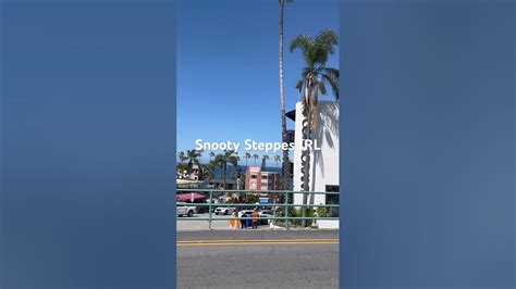 Snooty Steppes Irl Youtube