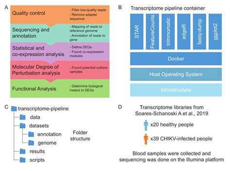 High Throughput Transcriptome Analysis For Investigating Host Pathogen Interactions Article JoVE