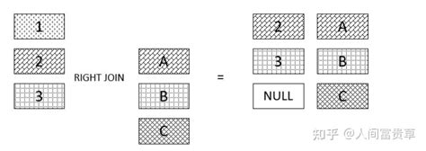 MySQL RIGHT JOIN 知乎