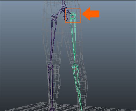 Tutorial Building A Complete Human Character Rig In Maya IK And Spline IK With Cluster Deformers