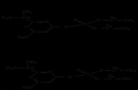1 Structure Of Diazinon And Diazinon Oxon Download Scientific Diagram