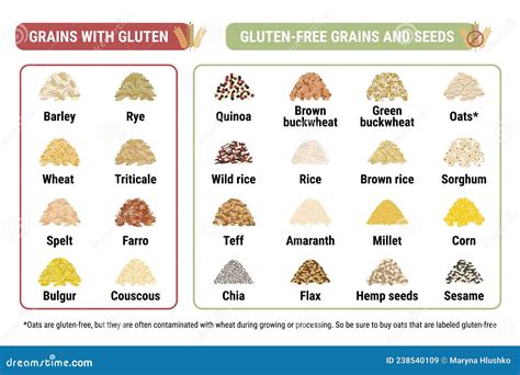 Gluten Free And Containing Gluten Grains Infographic Healthy And