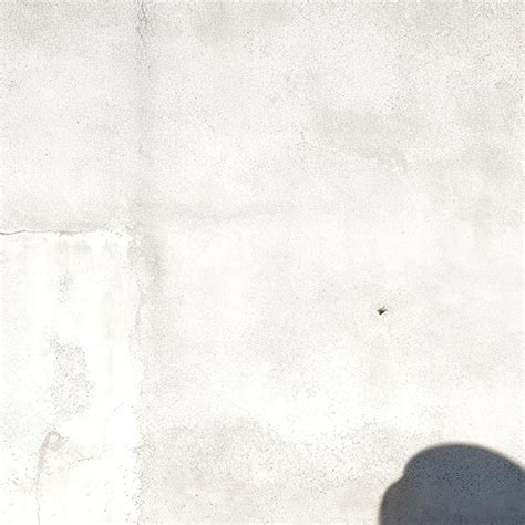 Premium Ai Image Nature Shadow On Concrete Wall Texture Background Ai Generated