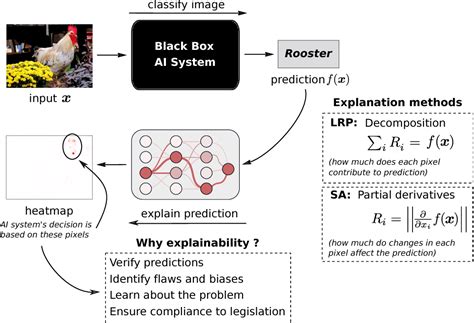 What Is Explainable Ai Importance Examples And Software Tools