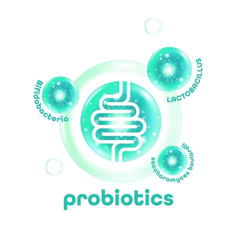 Premium Vector Probiotic Foods Good Bacteria Vector Illustration