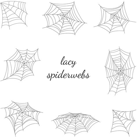 Lacy Spiderwebs Collection 12816974 Vector Art At Vecteezy