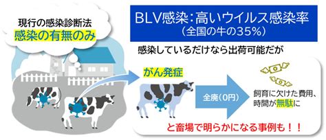 プレスリリース・論文掲載情報 北海道大学大学院獣医学研究院 感染症学教室