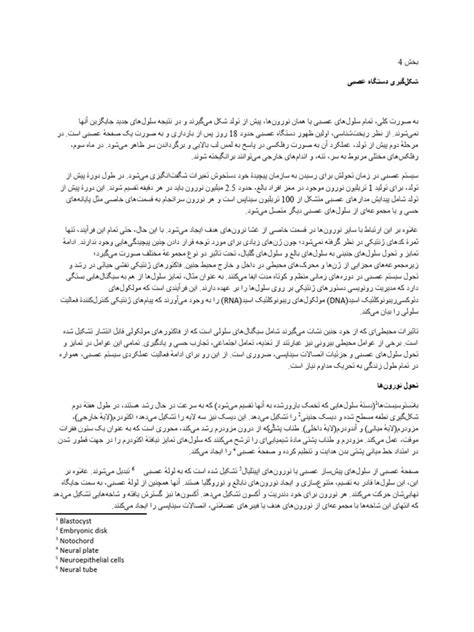 Chapter 4 Developing Nervous System Pdf