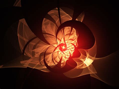 Orange Delight Free Stock Photo Public Domain Pictures