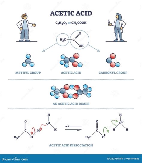 Acetic Acid Formula Or Vinegar Substance Chemical Description Outline Diagram Stock Vector