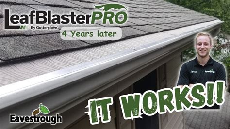 Leafblaster Pro 4 Years Later Results Youtube