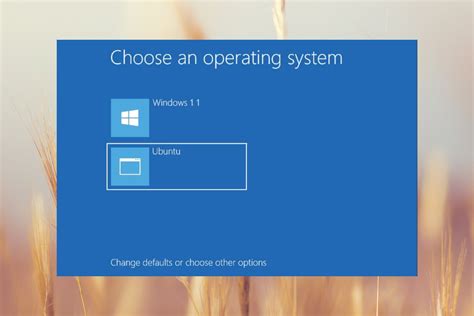 Windows 11 de Ubuntu yu Dual Boot dan Nasıl Kaldırılır