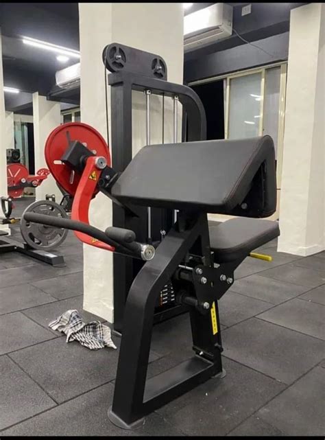 Bicep Curl Machine At ₹ 37800 Piece Bicep Curl Machine In Howrah Id