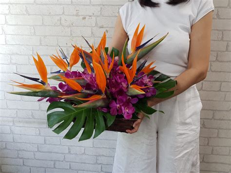 Shop Radiant Bird Of Paradise And Orchid Flower Basket Bk191 Pure Seed