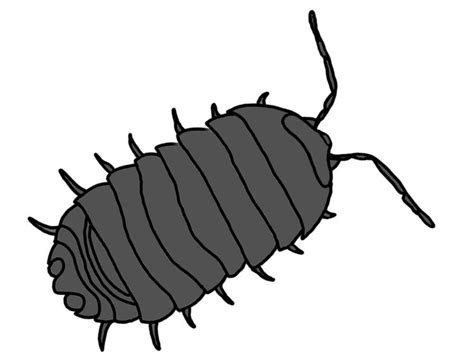 Crustaceans Fact Sheet