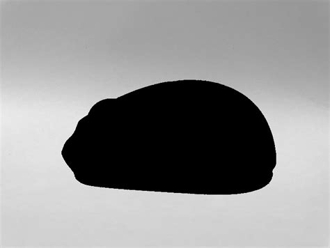 “python Opencv” Composite Image On Another Background Image Higasara