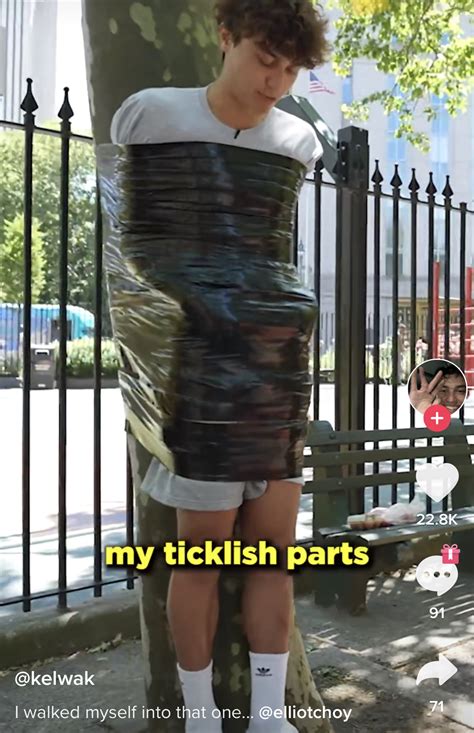 Duct Tape Tree