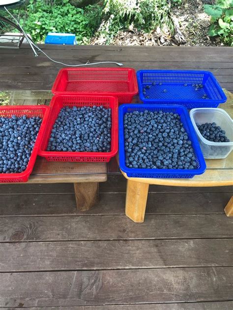 688 in the wild! | WatchUSeek Watch Forums