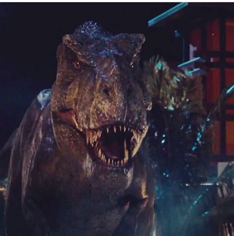 43 Best Images About Rexy On Pinterest
