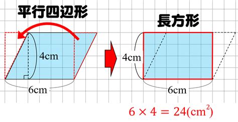 図形の面積の求め方のテクニック基本編中学受験塾なしの勉強法教え方