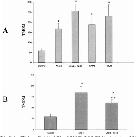 Alkaline Comet Assay Semantic Scholar