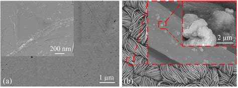 Flexible Graphene Electrodes For Prolonged Dynamic Ecg Monitoring