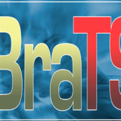 Braintumorsegmentationbrats2019 Trainvalid Kaggle