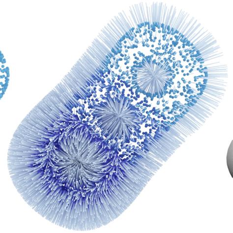 comparing the reconstruction quality on point clouds with 0 5 gaussian