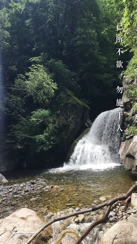 生活禅丨己所不欲勿施于人